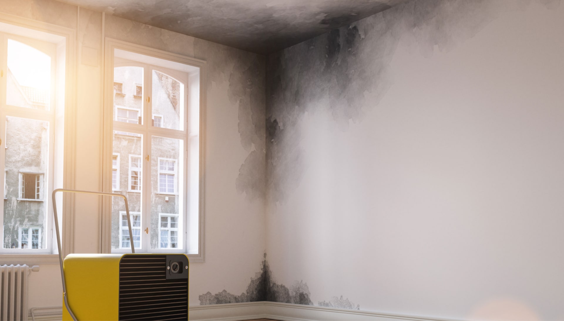 Professional Mold Removal in Santa Rosa Beach | Get a Quote